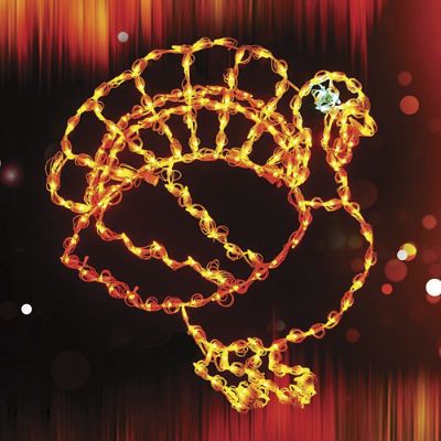 Pre-Lit LED Turkey | Grandin Road