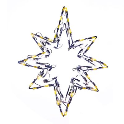Pre-Lit LED Star | Grandin Road