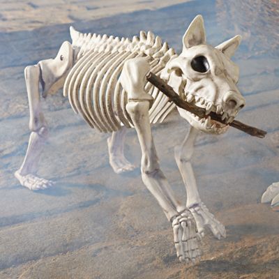Sparky the Skeleton Dog on Leash | Grandin Road