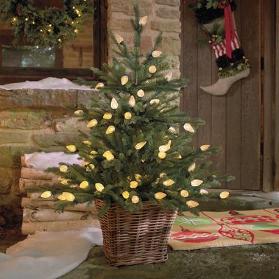 Russian Porch Tree | Grandin Road