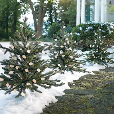 Set of Two Russian Porch Trees | Grandin Road