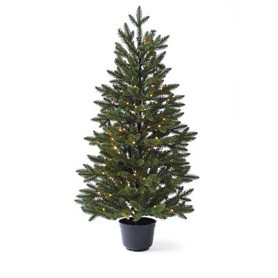 Mixed Pine Potted Christmas Tree | Grandin Road