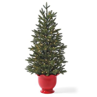 Mixed Pine Potted Christmas Tree | Grandin Road