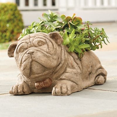 Winston the Bulldog Planter | Grandin Road