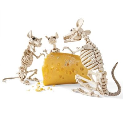 Skeleton Rat | Grandin Road