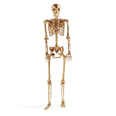 Gold Life-size Skeleton | Grandin Road