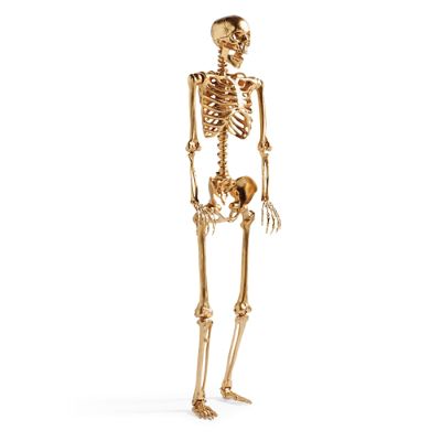 Gold Life-size Skeleton | Grandin Road