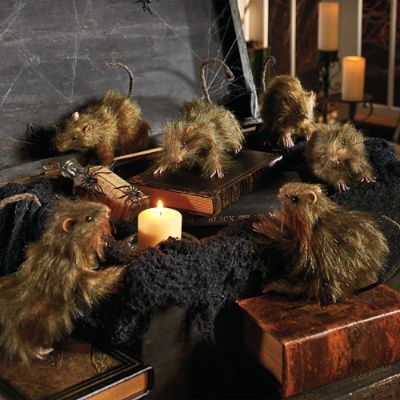 Set of Six Mini Rat Assortment | Grandin Road