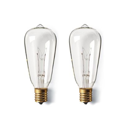 Edison Replacement Bulbs, Set of Two | Grandin Road