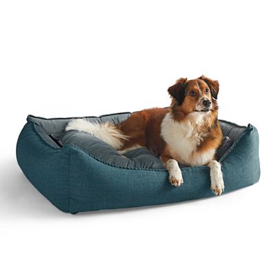 Scoop Pet Bed | Grandin Road