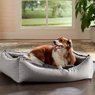 Scoop Pet Bed | Grandin Road