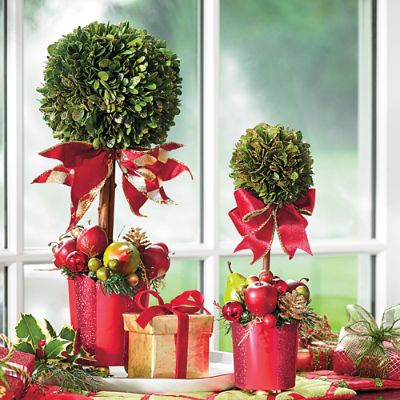 Hailey Boxwood Topiary | Grandin Road