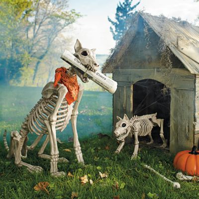 Fierce Skeleton Dogs Scene | Grandin Road