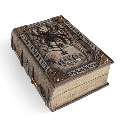 Animated Writing Spellbook | Grandin Road