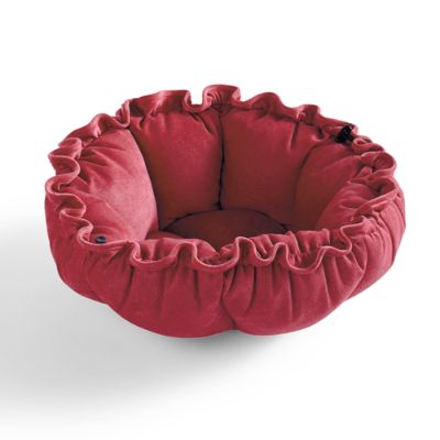 Buttercup Pet Bed | Grandin Road