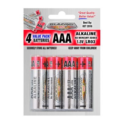 AAA Batteries, 4 Pack | Grandin Road