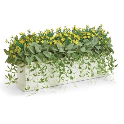 Sunshine Blooms Window Box Filler | Grandin Road