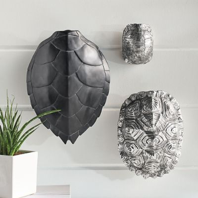 Decorative Turtle Shells | Grandin Road