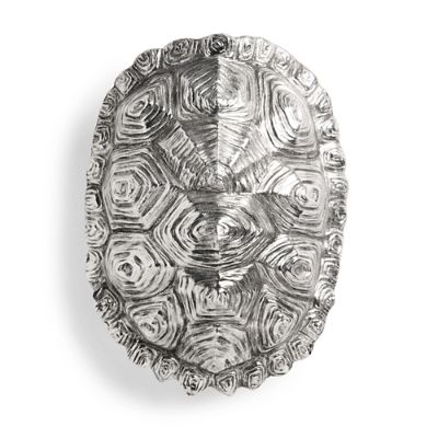 Decorative Turtle Shells | Grandin Road