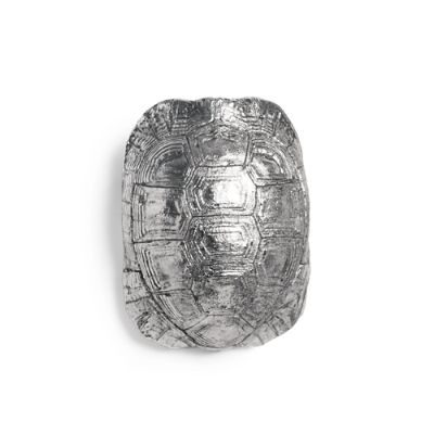 Decorative Turtle Shells | Grandin Road