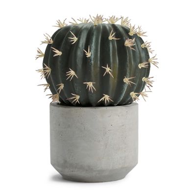 Faux Round Potted Cactus | Grandin Road