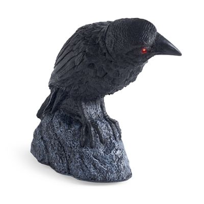 Animated Turning Head Raven | Grandin Road