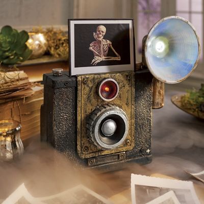 Animated Haunted Camera | Grandin Road