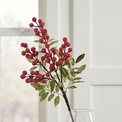 Red Berry Stems s/6 | Grandin Road