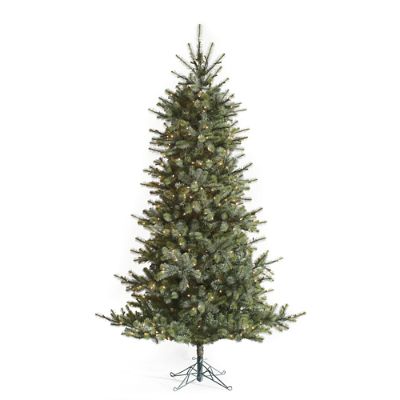 Blue Spruce Christmas Tree | Grandin Road