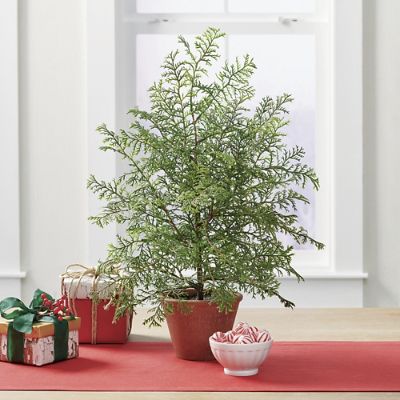 Soft Pine Tree in Pot | Grandin Road