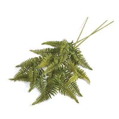 Fern Stem, Set of Three | Grandin Road