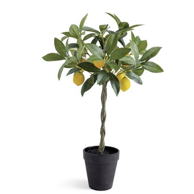Tabletop Lemon Tree | Grandin Road