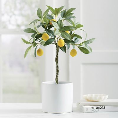 Tabletop Lemon Tree | Grandin Road