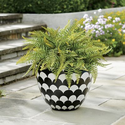 Fancy Fern Urn Filler | Grandin Road