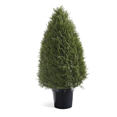 Garden Topiary Collection | Grandin Road