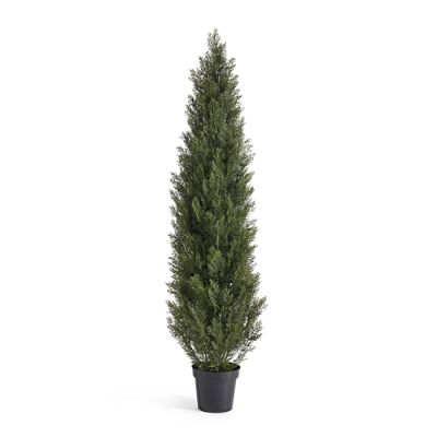 Garden Topiary Collection | Grandin Road