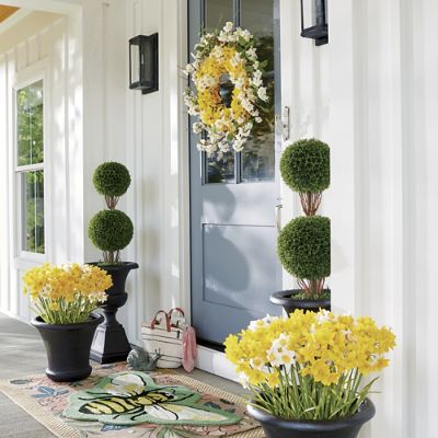 Garden Topiary Collection | Grandin Road