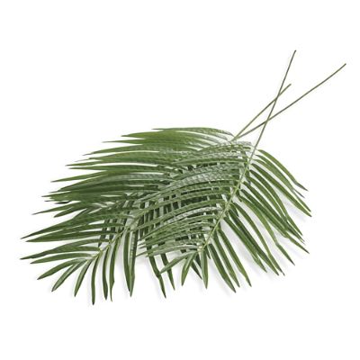 Palm Leaf Stem, Set of Three | Grandin Road