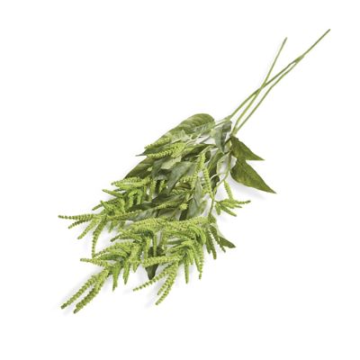 Amaranthus Stem, Set of Three | Grandin Road