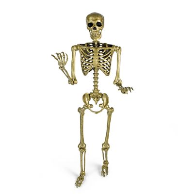 Gold 5' Skeleton | Grandin Road