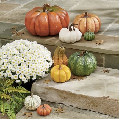 Fairytale Pumpkins | Grandin Road