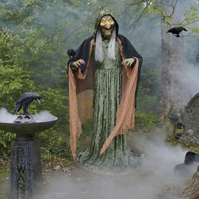 Animated Forest Witch | Grandin Road