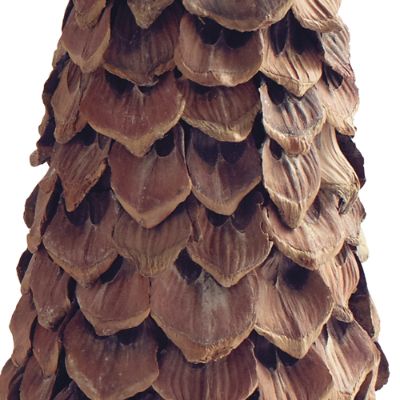 Pinecone Trees, Set of Three | Grandin Road