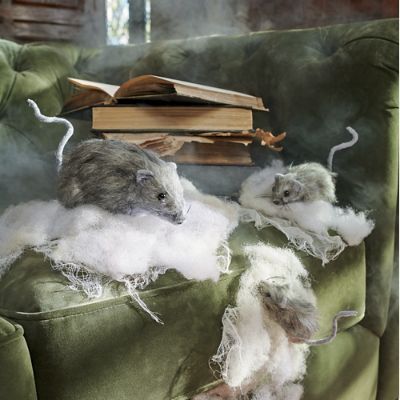 Couch Rats, Set of Six | Grandin Road