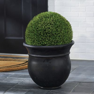 Zara Planter | Grandin Road