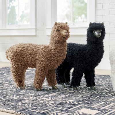 Wooly Llama | Grandin Road