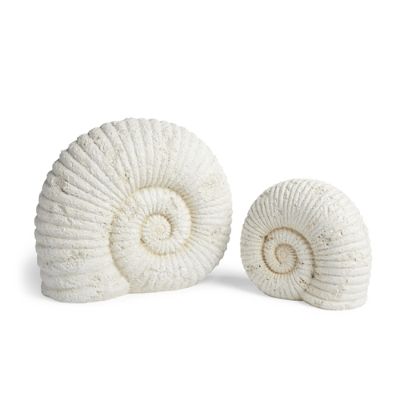 White Sands Nautilus Shell, Set of Two | Grandin Road