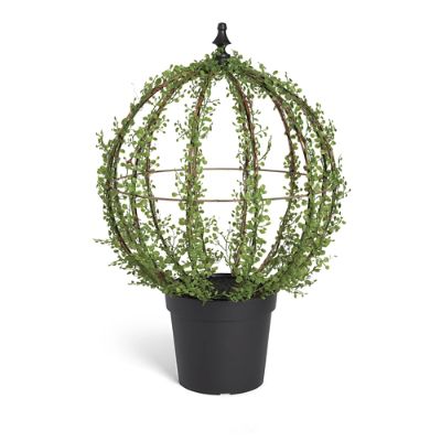 Caged Topiaries | Grandin Road