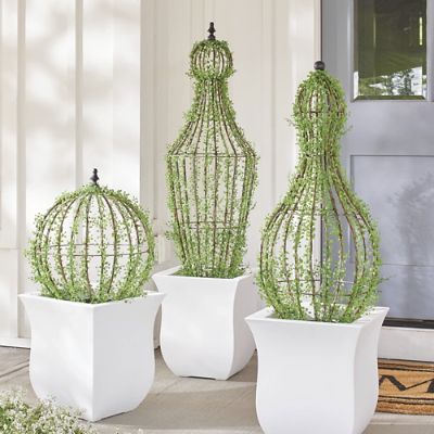 Caged Topiaries | Grandin Road