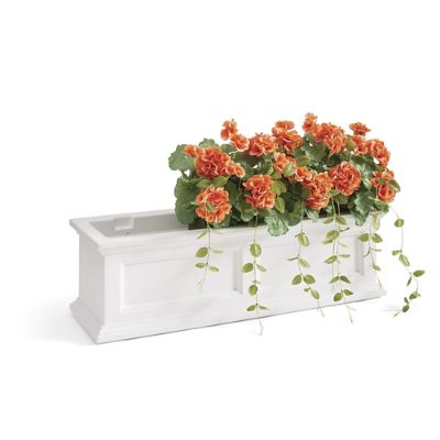 Geranium Window Box Fillers | Grandin Road